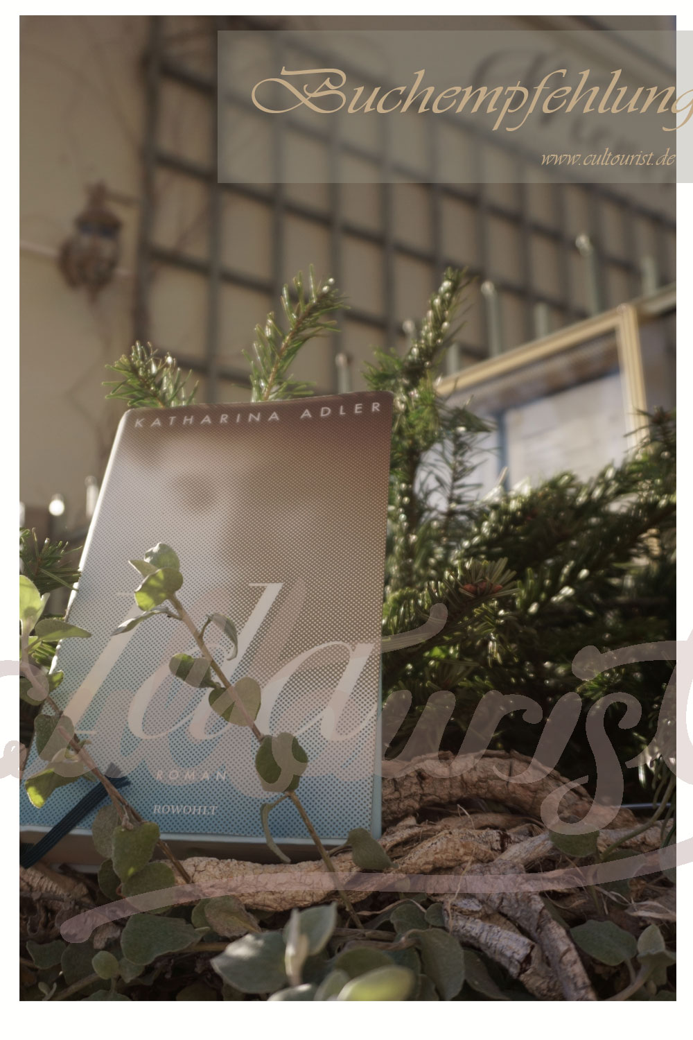 Gelesen: Katharina Adler "Ida" - cultourist Roman - Rezension