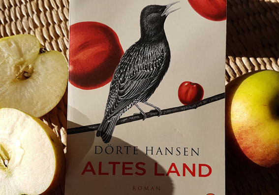 Gelesen: Dörte Hansen "Altes Land" - cultourist Roman Rezension